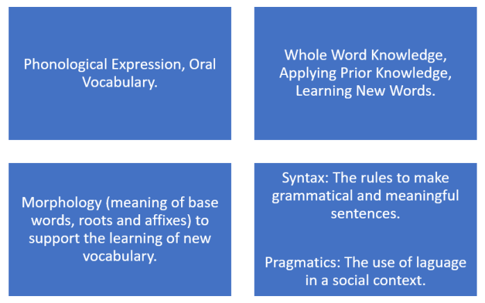 Vocabulary | Curriculum Connections